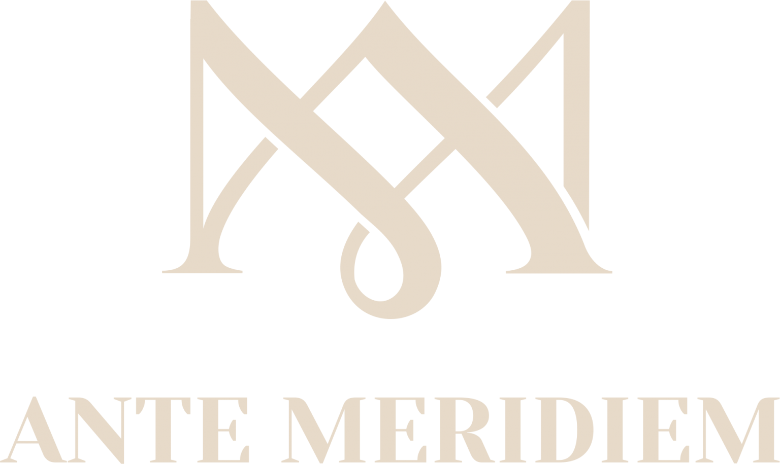 О компании — Ante Meridiem